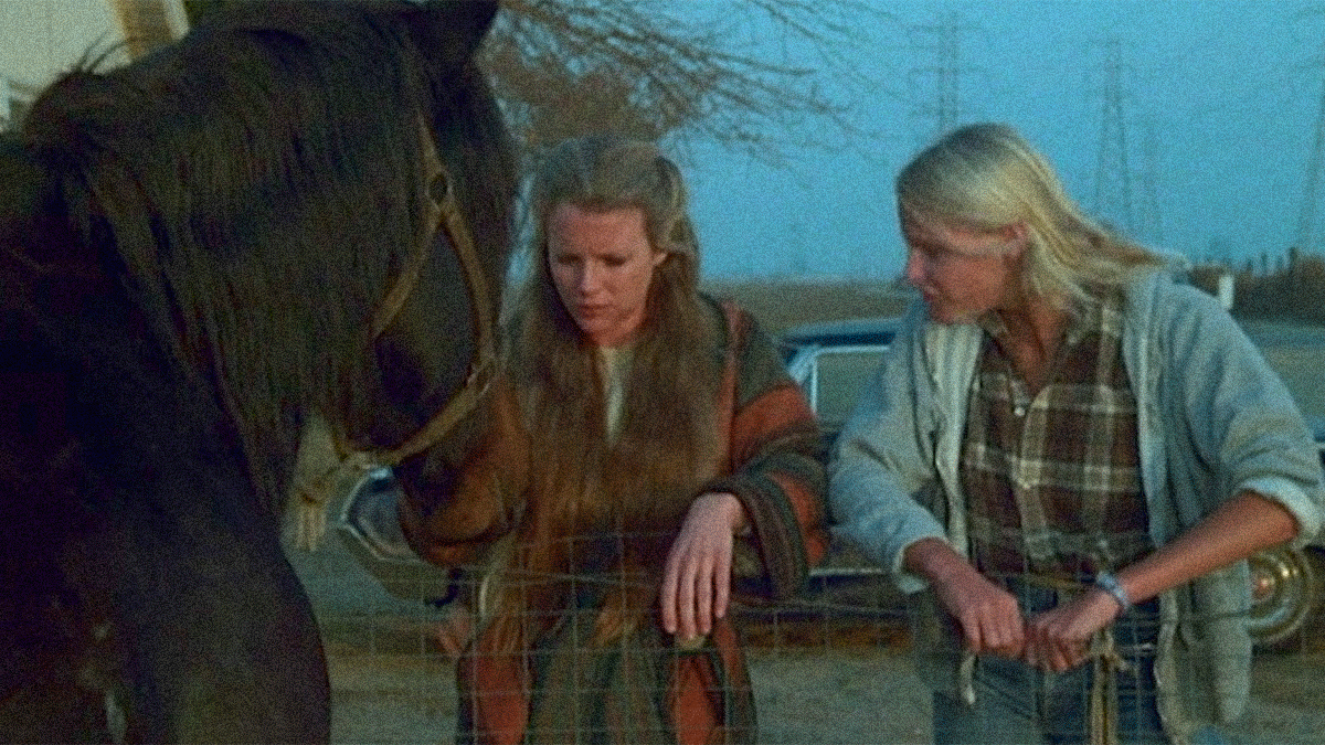 Hard Country (1981) – CINEMATIC F-BOMBS